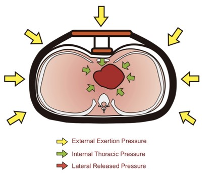 News | Sunlife Science